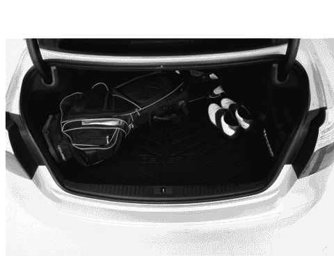 Cargo Tray - 2009 Hyundai Genesis