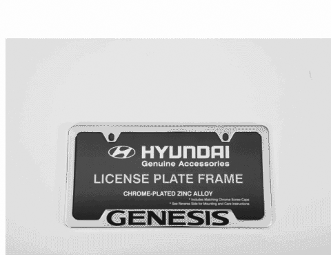 License Plate Frame - 2009 Hyundai Genesis