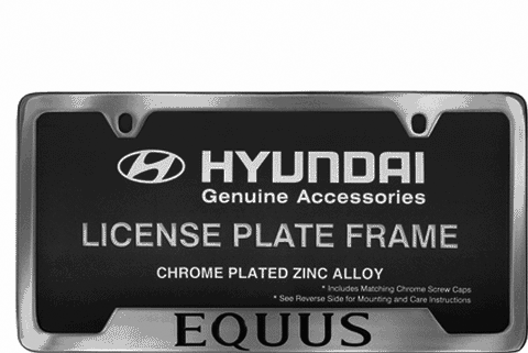 License Plate Frame - 2014 Hyundai Equus