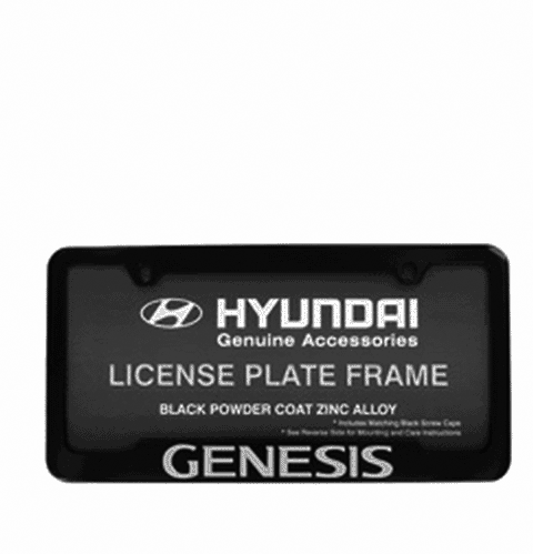 License Plate Frame - 2015 Hyundai Genesis