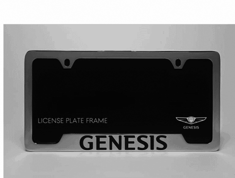 License Plate Frame - 2015 Hyundai Genesis