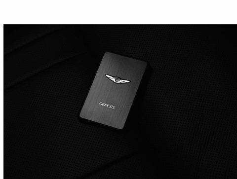 Card Key - 2016 Hyundai Genesis