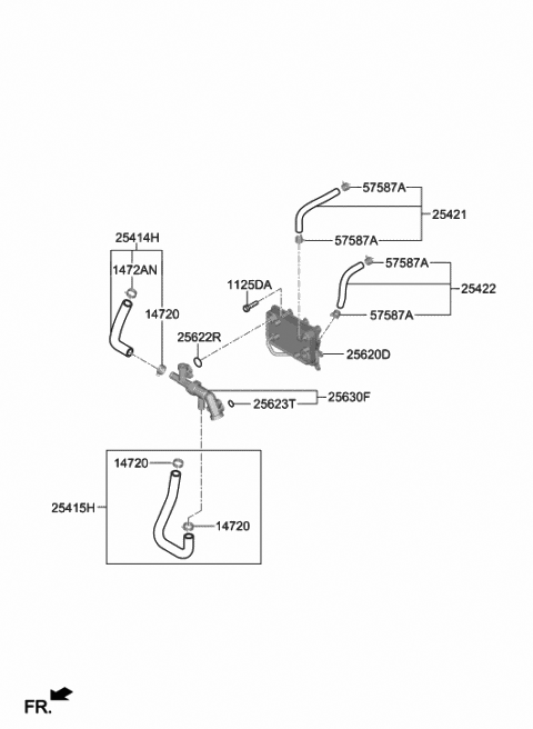 25415-S2500 Genuine Hyundai Hose Assembly-RADAATOR,LWR