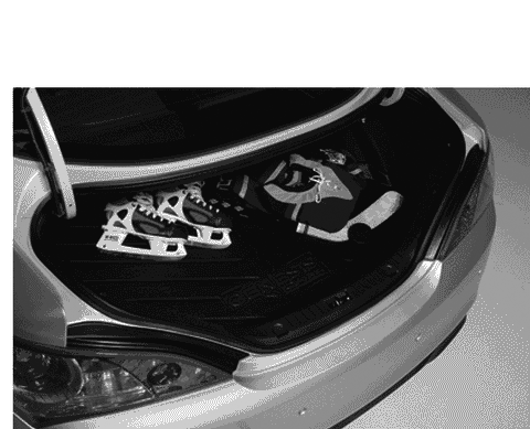 Cargo Tray - 2010 Hyundai Genesis Coupe