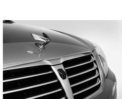 2015 Hyundai Equus Hood Ornament - Hyundai Parts Deal