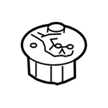 Fuel System - 2009 Hyundai Veracruz